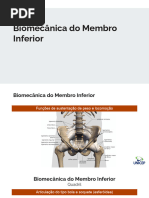 11 - Região Poplítea | PDF | Joelho | Anatomia humana