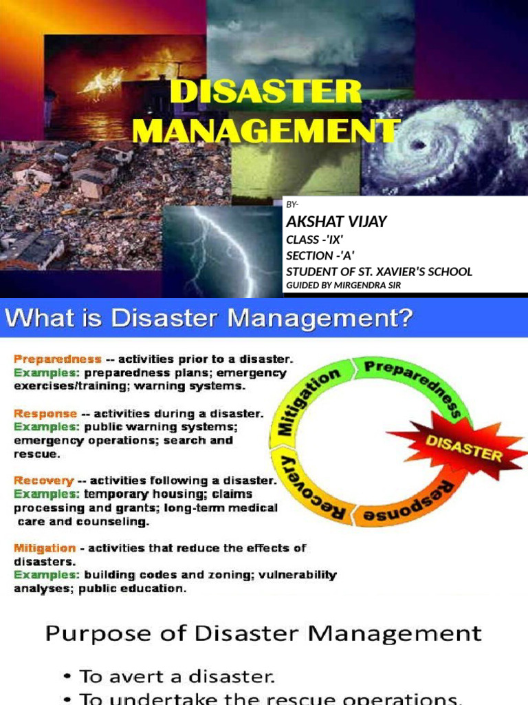 Disaster | PDF