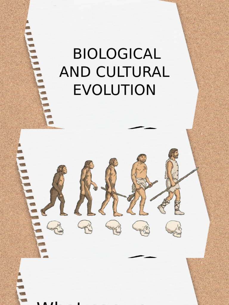 Human Evolution: From Habilis to Sapiens | PDF | Homo | Human