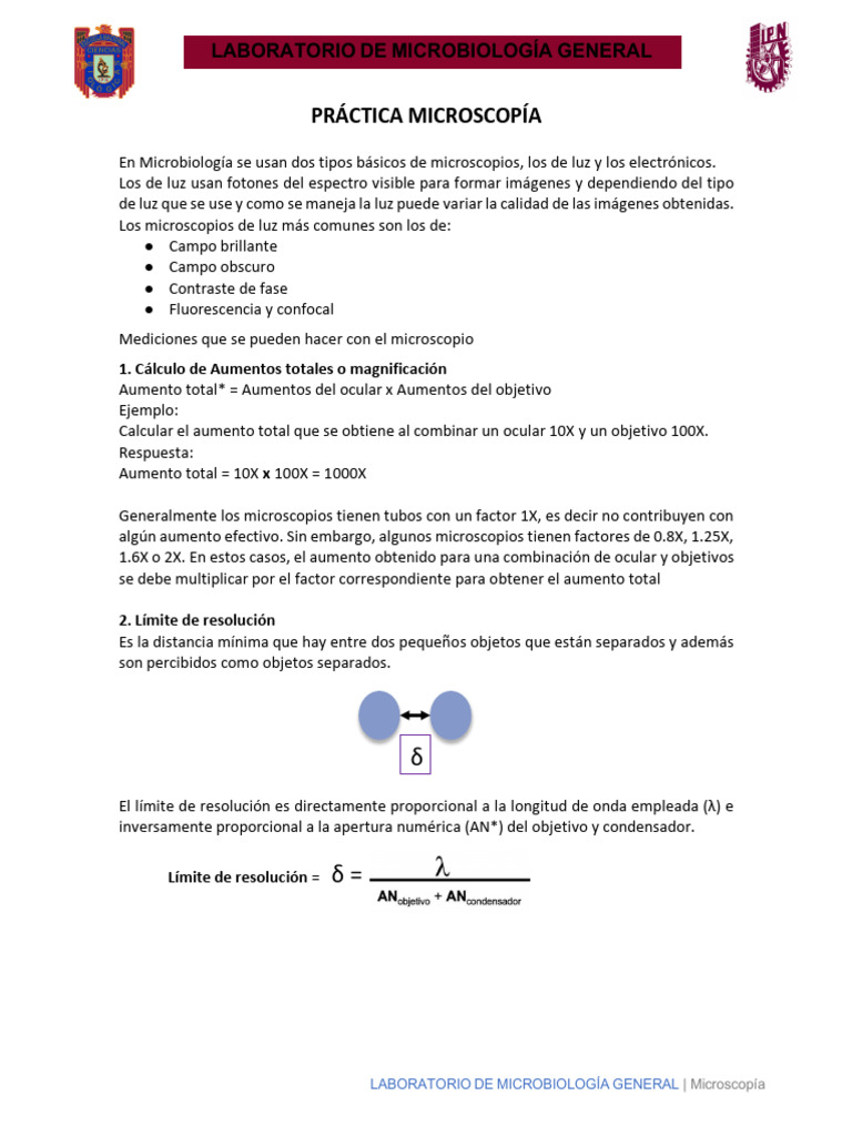 Practica 2 Micros | PDF | Resolución angular | Microscopio