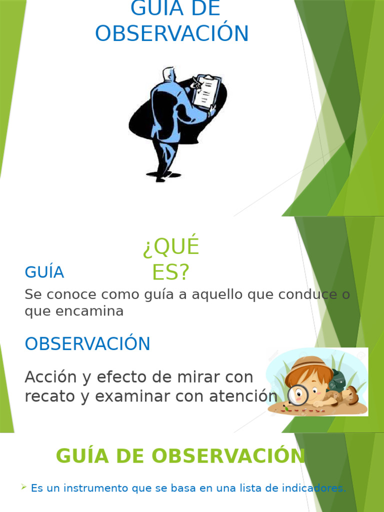 Guía de Observación en el Aula | PDF