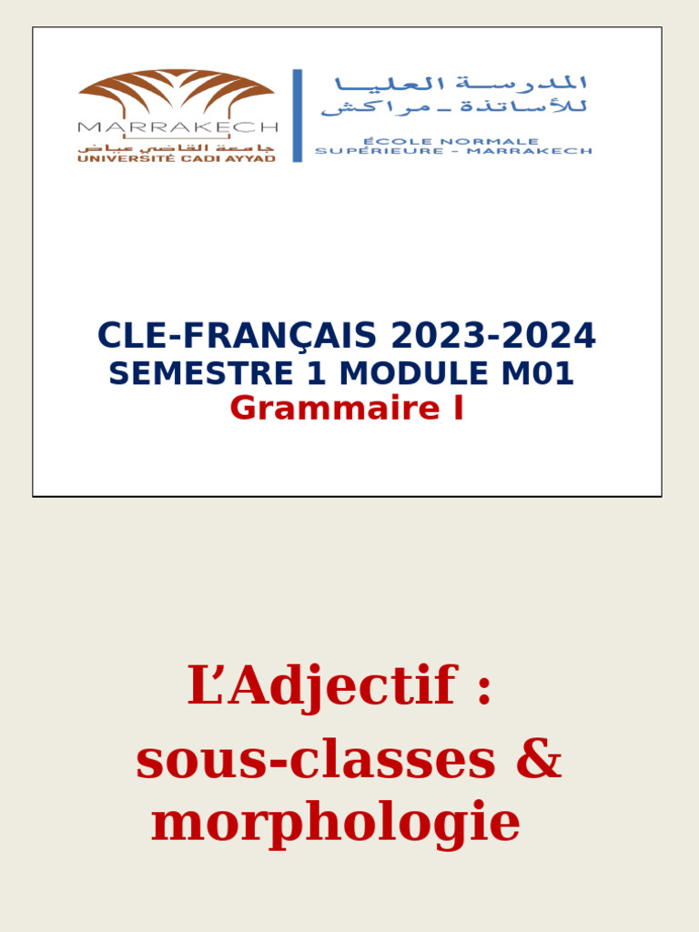 Grammaire des adjectifs en français | PDF | Genre grammatical | Sémantique