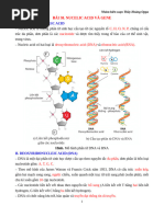 CÂU HỎI ĐÚNG SAI NUCLEIC ACID | PDF