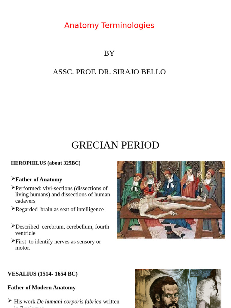 Anatomy Terminologies | PDF | Anatomical Terms Of Motion | Anatomical ...