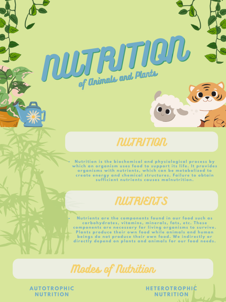 Gen Bio Lesson 7 - Nutrition of Plants and Animals | PDF | Nutrition ...