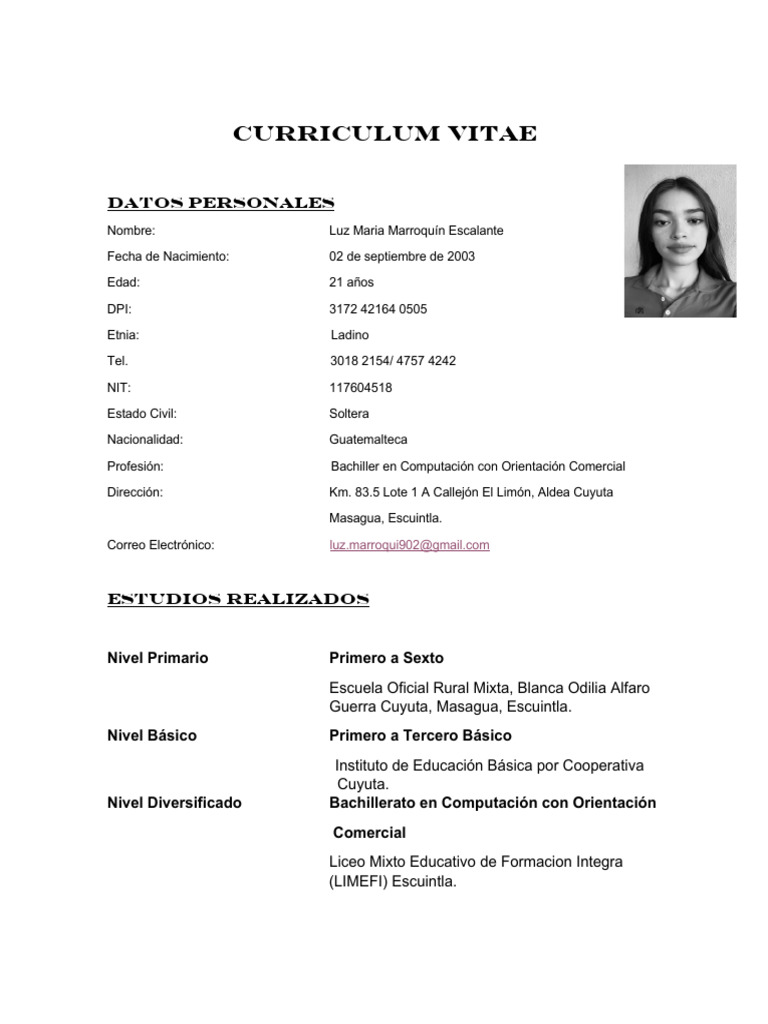 Curriculum Vitae Luz | PDF