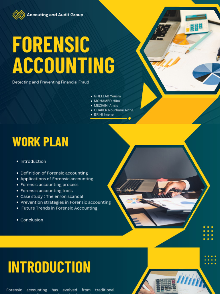 Forensic Accounting & Fraud Prevention | PDF | Accounting | Computer ...