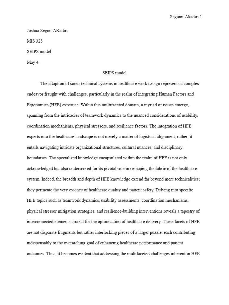Week 8 Term Paper - SEIPS Model | PDF | Patient Safety | Health Care