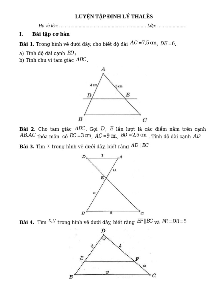 PBT - Luyện tập định lý Thales | PDF