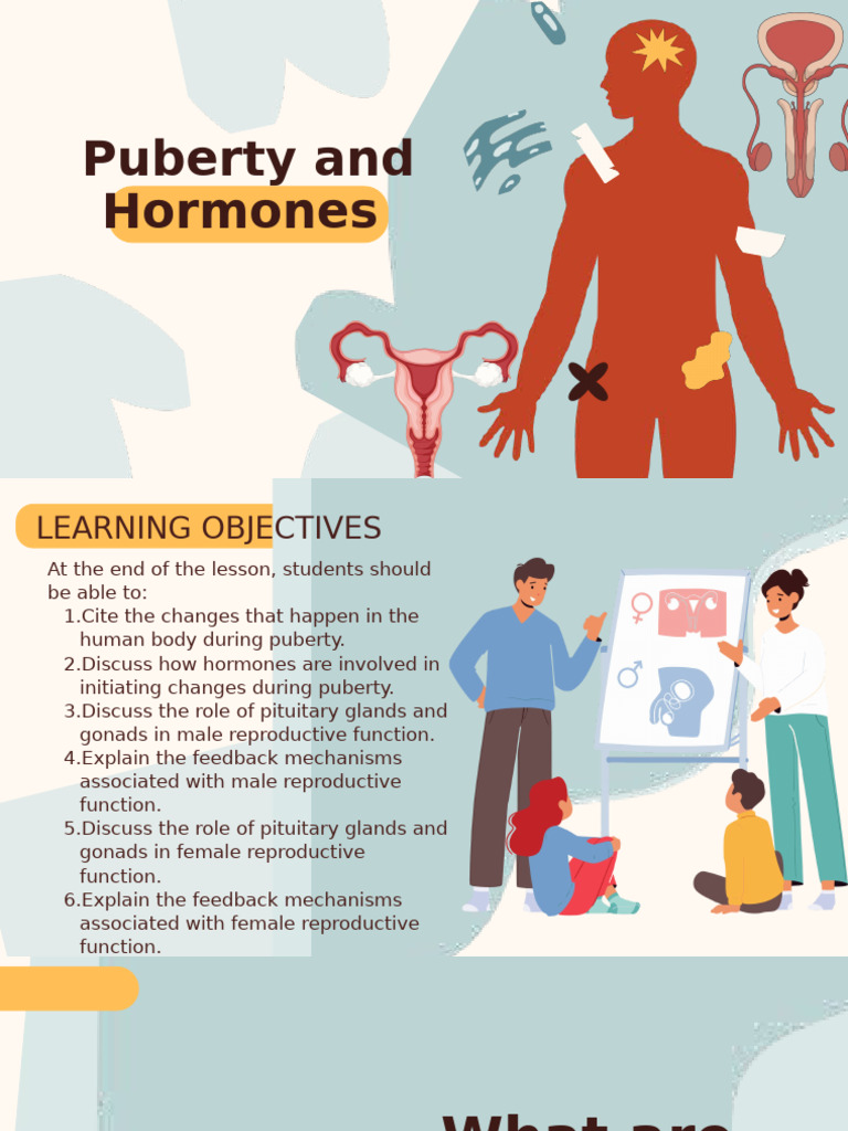 Puberty and Hormones | PDF | Luteinizing Hormone | Puberty