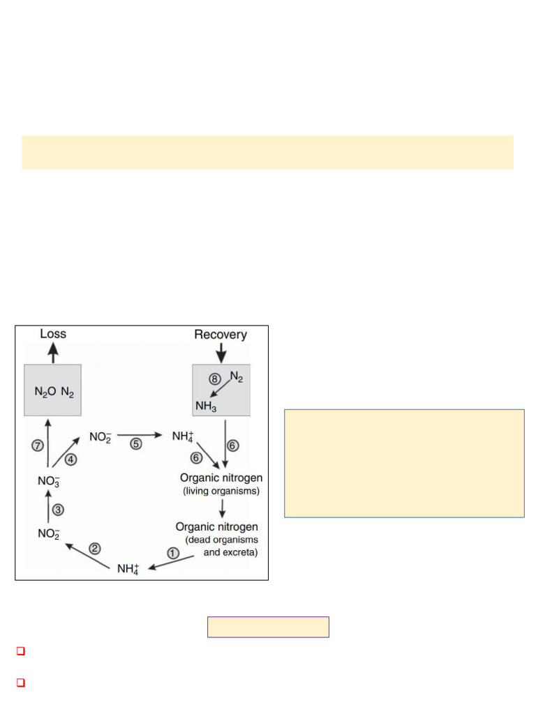 N2 Fixation and Assimilatory Nitrate Reduction - MSC - Sem1 | PDF ...