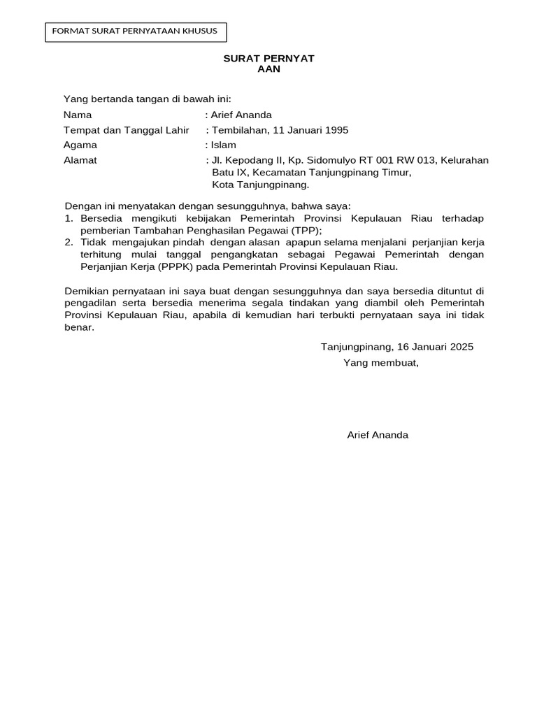 CONTOH FORMAT SURAT PERNYATAAN KHUSUS PPPK PROV KEPRI 2024 Ok | PDF