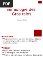 Syndrome de la Jonction Pyelo-Uréterale | PDF | Rein | Spécialités ...