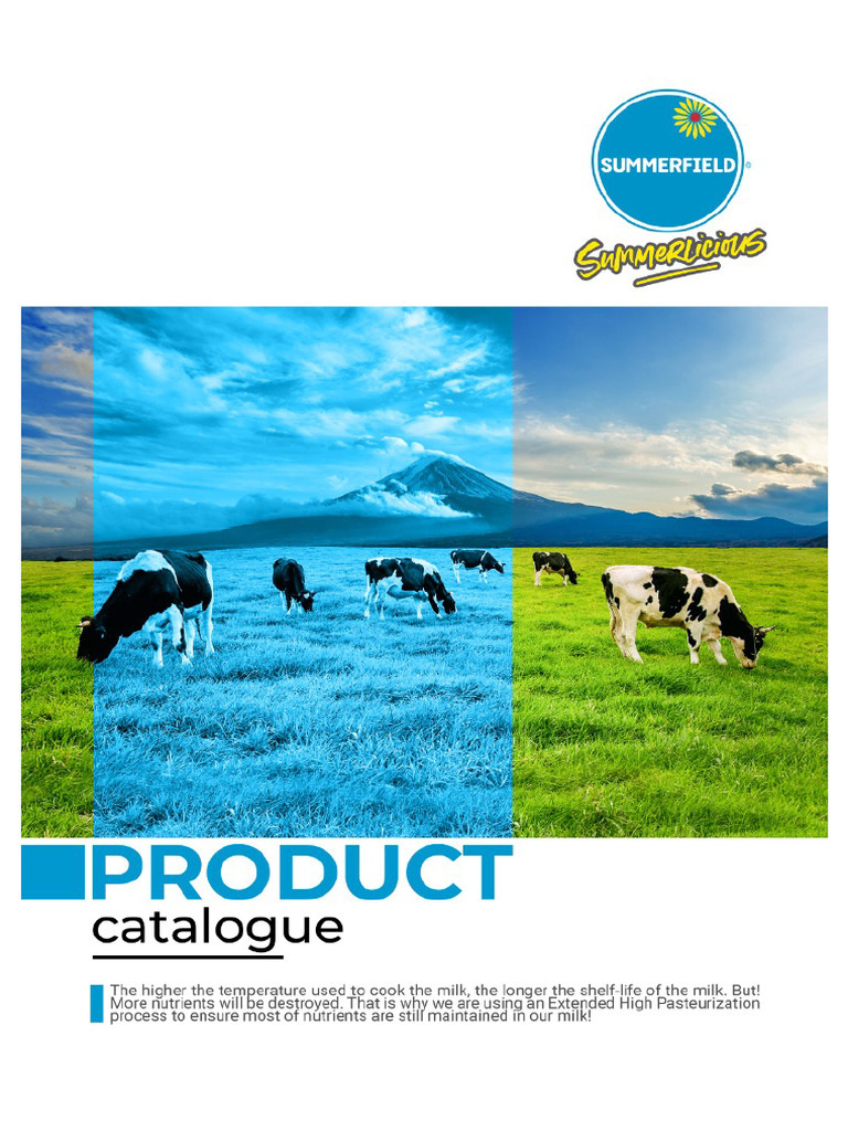 Brochure Summerfield | PDF