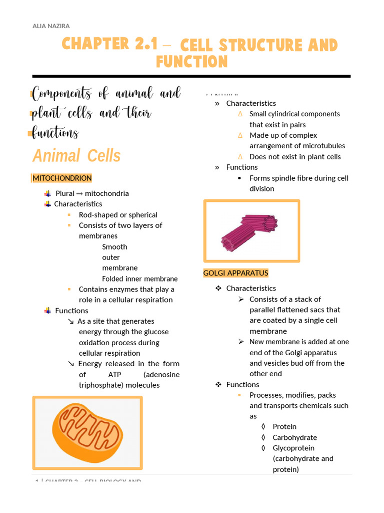 CHAPTER 2 | PDF | Human Body | Tissue (Biology)