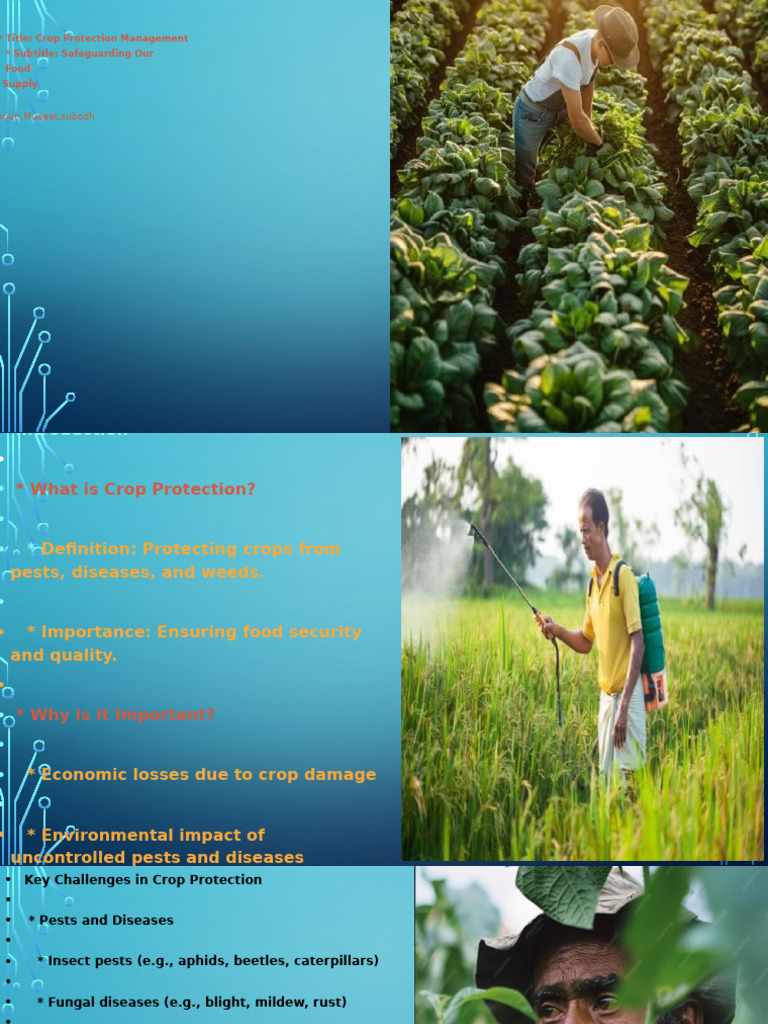 Crop Protection Management | PDF | Pest (Organism) | Pest Control