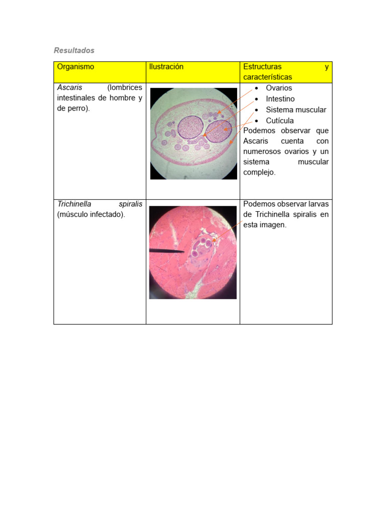 Resultados Mico | PDF