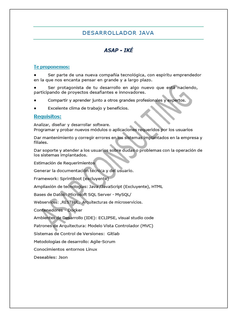 JD - Desarrollador JAVA | PDF