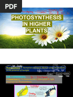CH 11. Photosynthesis in Higher Plants - PPT | PDF | Photosynthesis ...