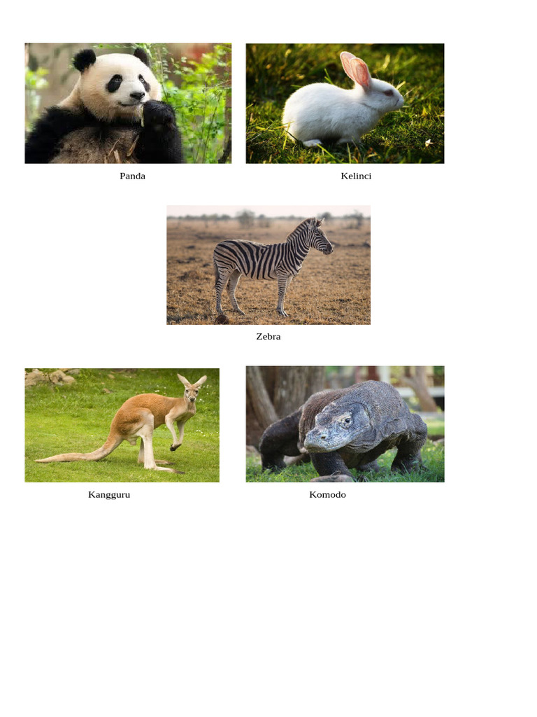 gbr 5 hewan dan tumbuhan | PDF