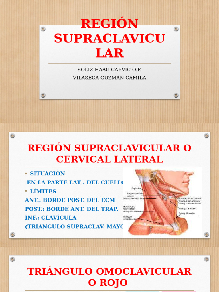 Región Supraclavicular | PDF
