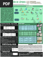 Análisis Clínico del Líquido Ruminal | PDF | Rumiante | Química