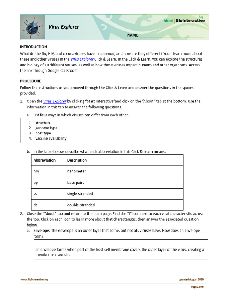 4 - Virus Explorer Student Sheet | PDF | Virus | Influenza