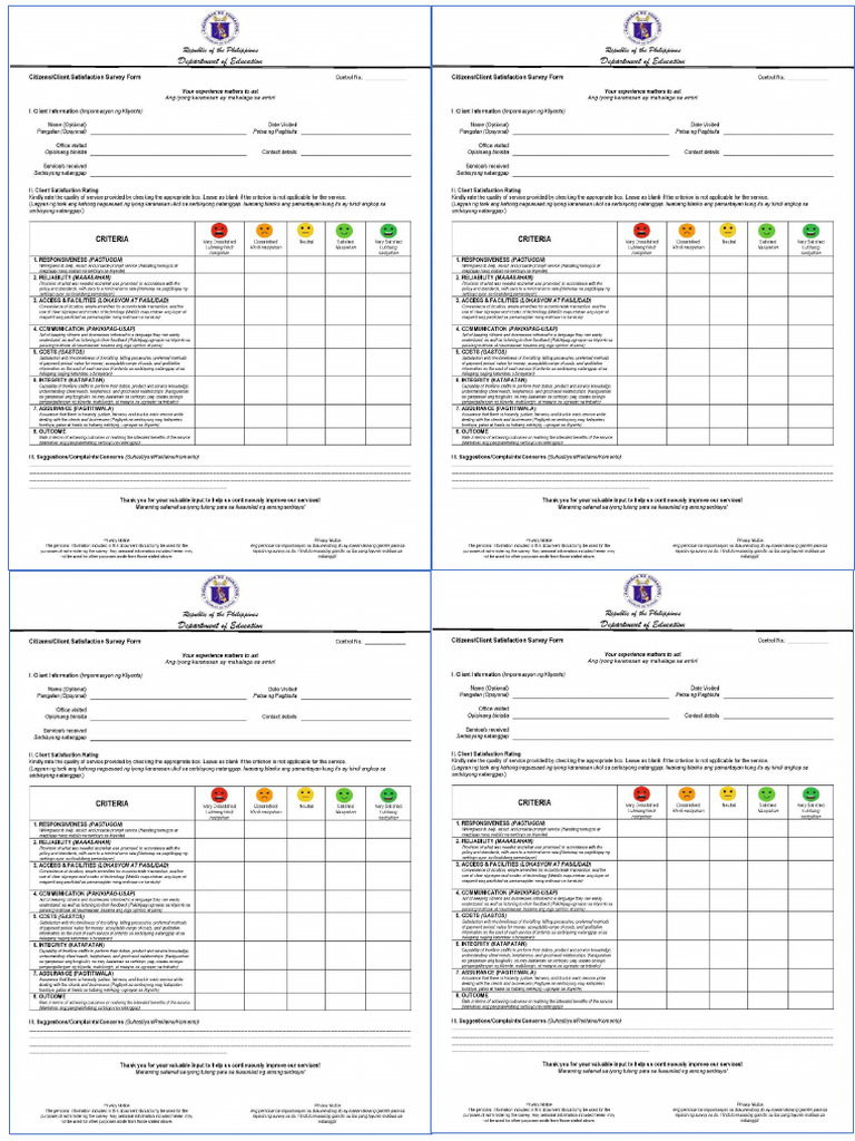 PEMS-CLIENT-SURVEY-FORM | PDF