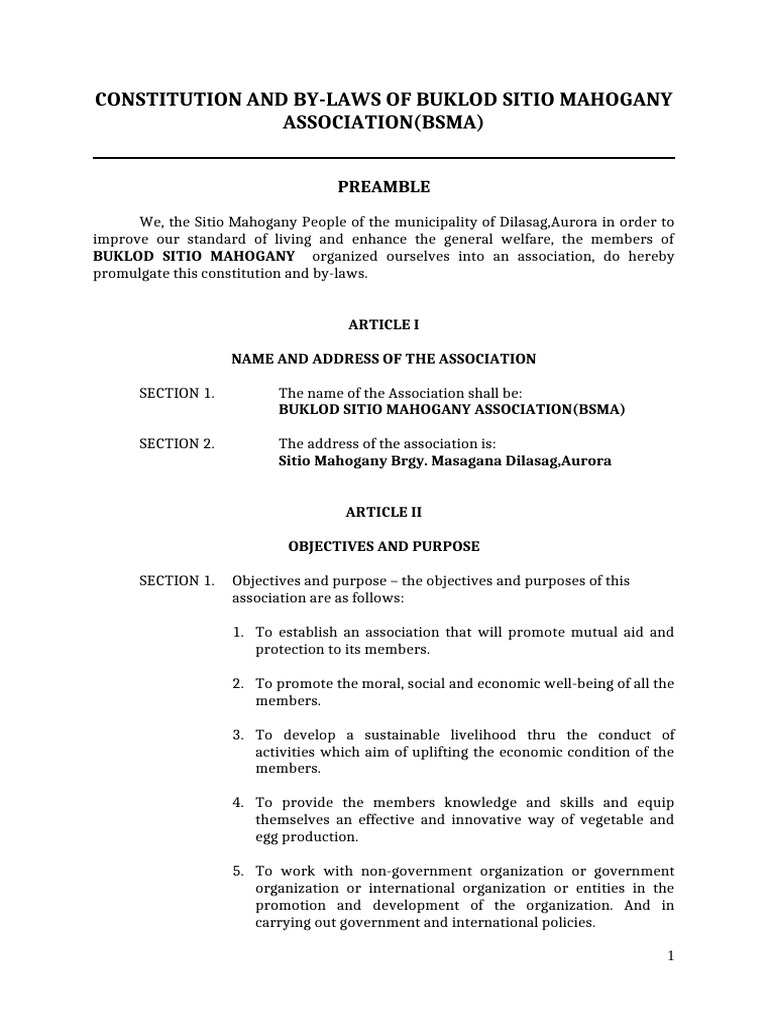 BSMA Constitution & By-Laws | PDF | Quorum | United Nations General Assembly