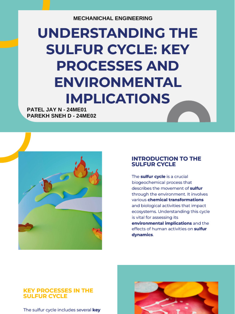 Sulfur Cycle: Processes & Impacts | PDF