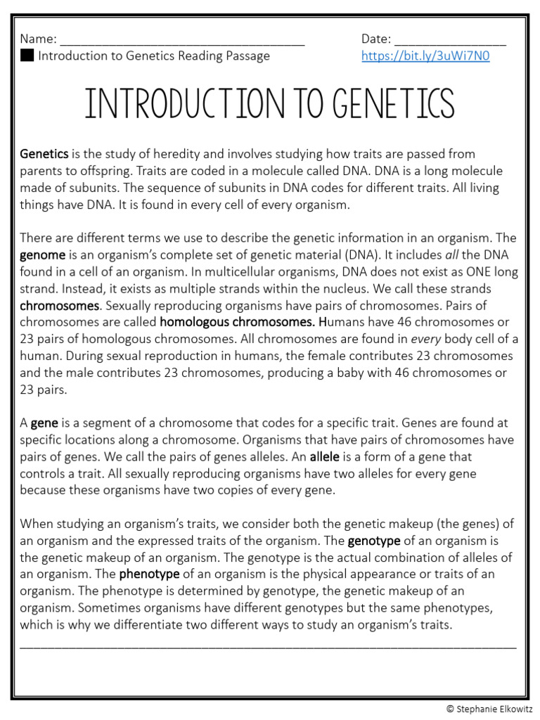 Introduction+to+Genetics+Reading+Passage | PDF | Gene | Genetics