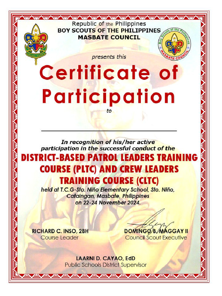 bsp certificate screenshoot | PDF