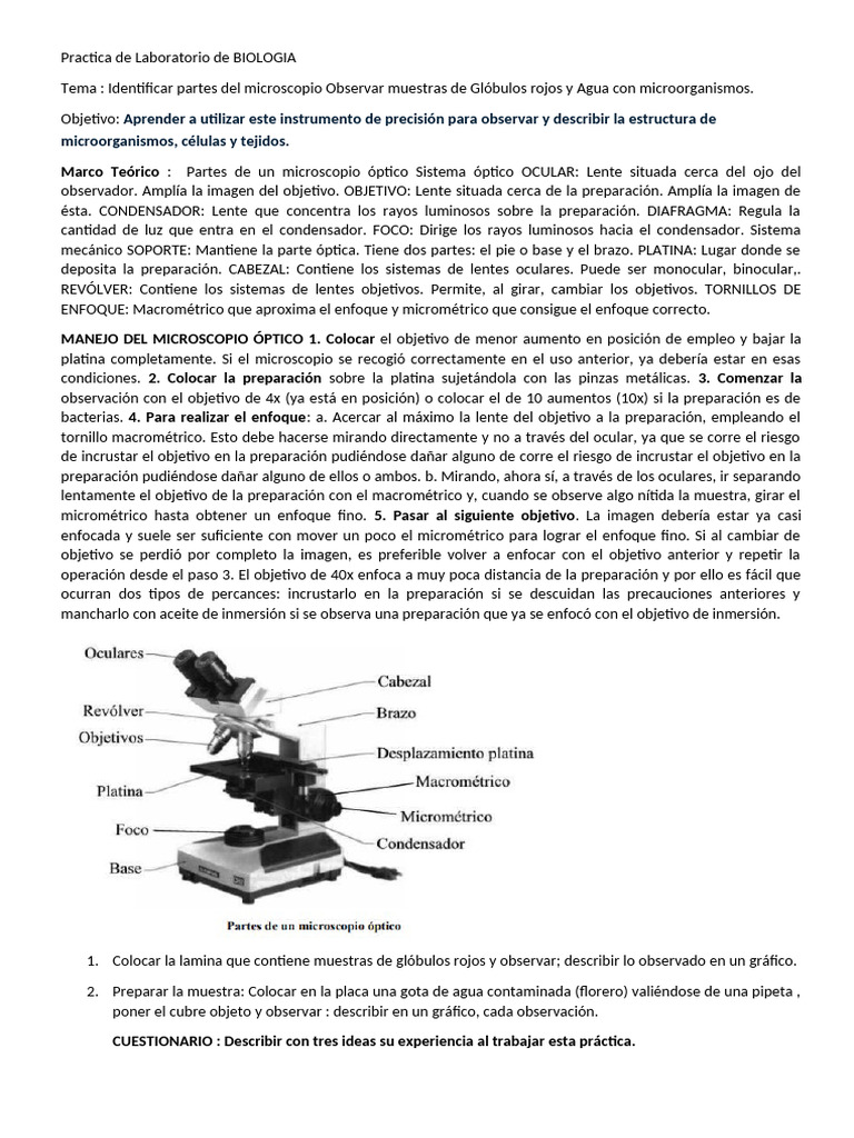Microscopio Observar Muestras 1,2 | PDF | Lente de la cámara | Microscopio