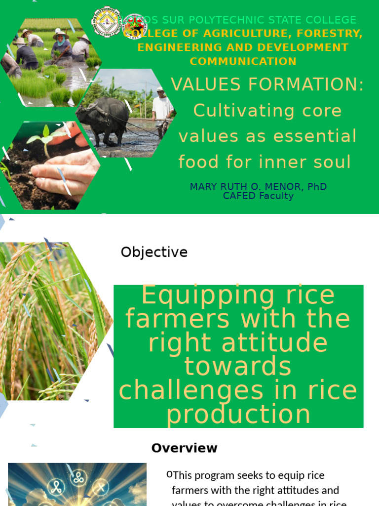 PAFES Values Formation KSA of Rice Farmers | PDF | Sola Fide | Epistle ...