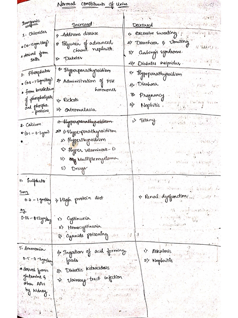Bioche Practical Urine | PDF