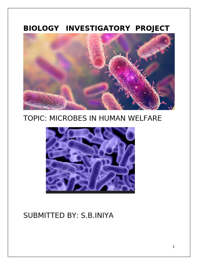 Biology Investigatory Project | PDF | Microorganism | Anaerobic Digestion