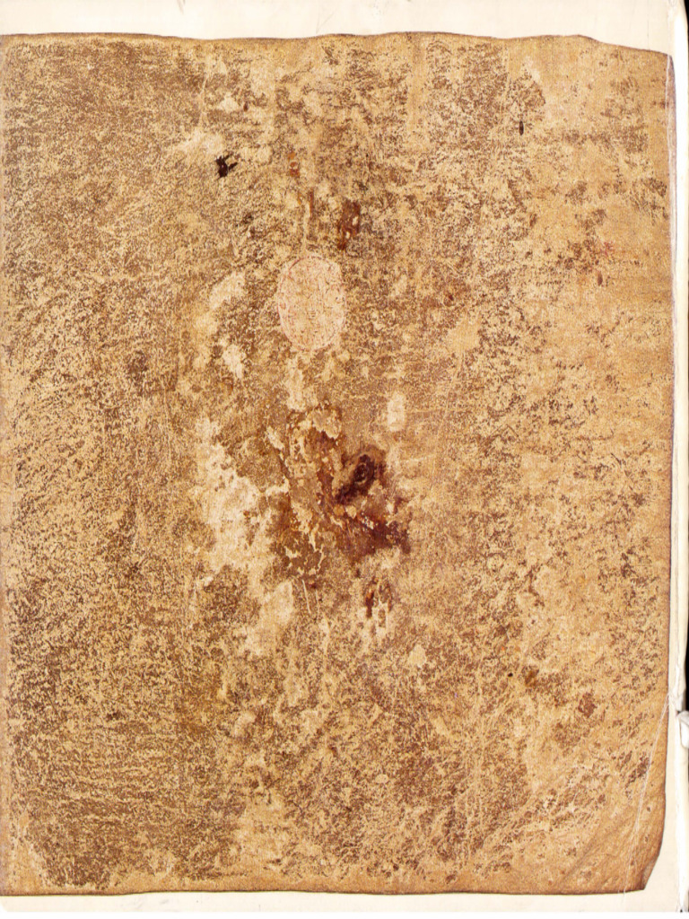 Mixtecos Tonindeye Códice Zouche Nuttall Codex Mixtec 1300 | PDF