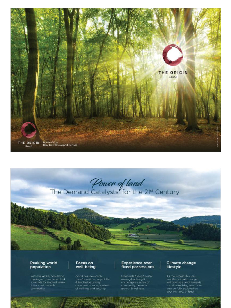 The Origin Sasoli | PDF