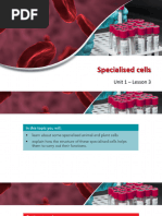 Specialised Animal Cells - Living Organisms - KS3 Biology - BBC ...