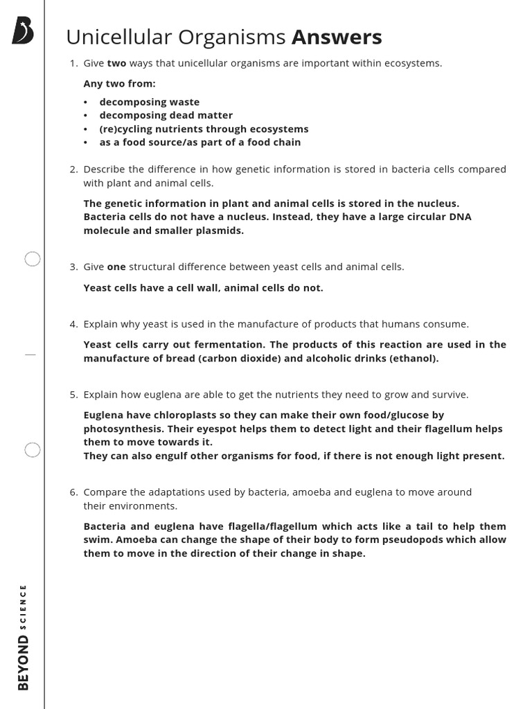 KS3 Science: Unicellular Organisms | PDF