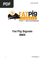 FTID Versions + Guide | PDF | Barcode