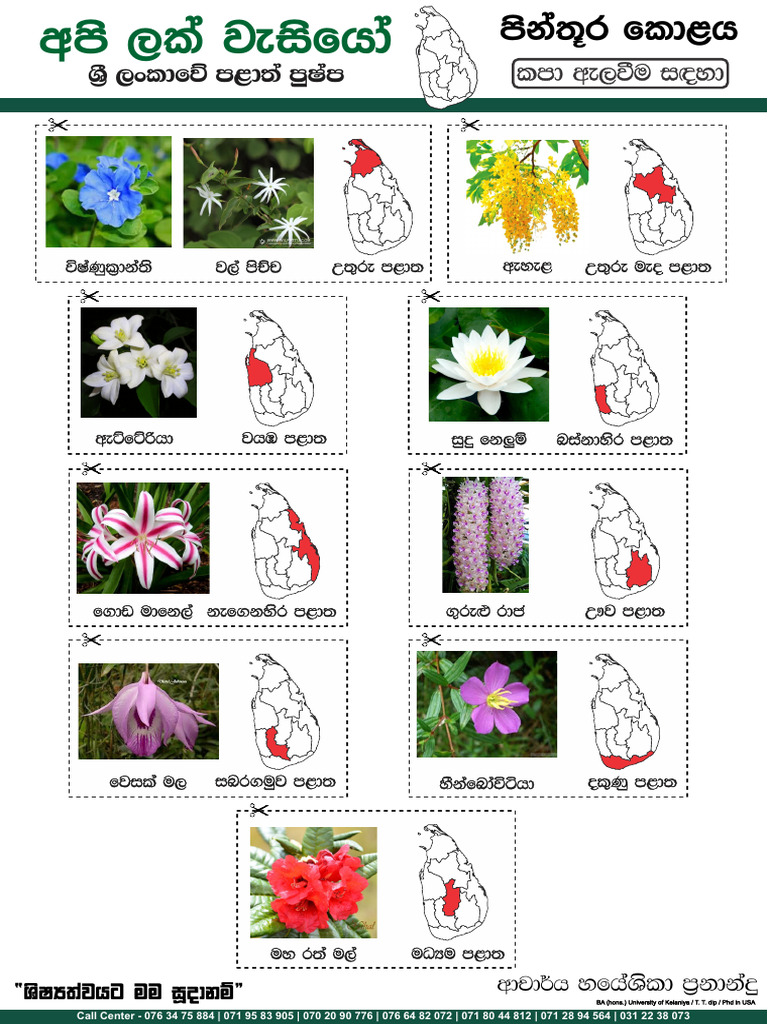 Parisaraya Pic (Palath Pushpa) 2025 | PDF