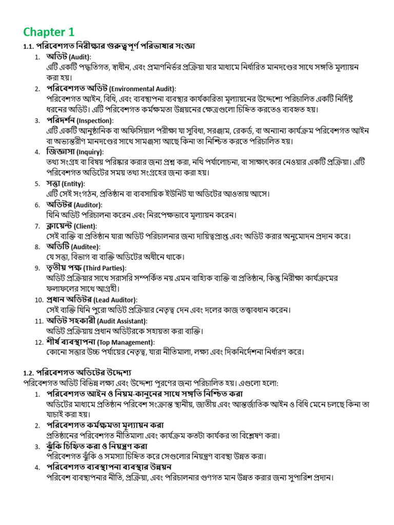 Environmental Audit | PDF