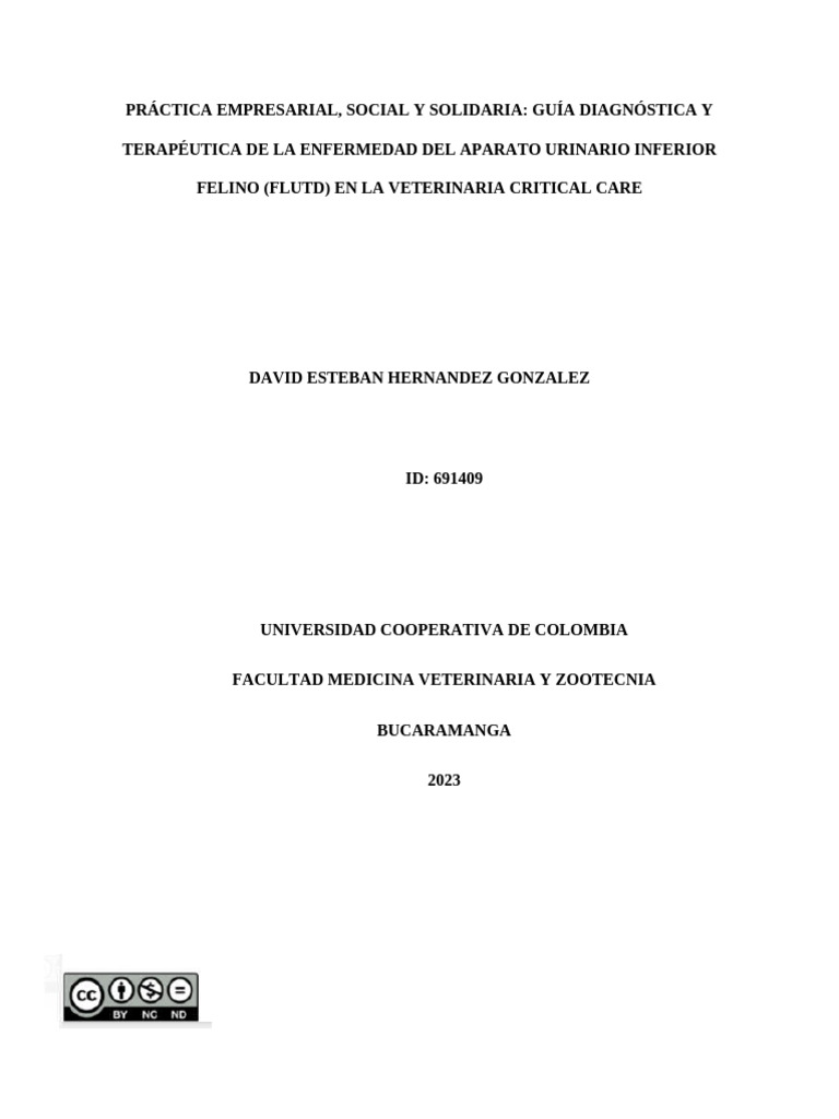 Guía sobre Hipostenuria en Felinos | PDF | Riñón | Micción
