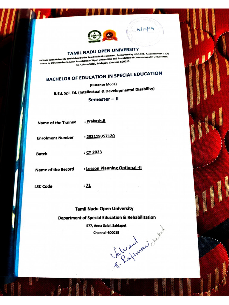 B.ed SPL 2nd Semester Lesson Planning Optional 2 | PDF