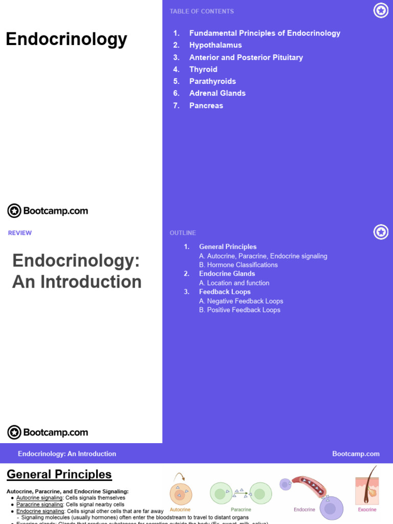 Endocrinology Basics for Students | PDF | Endocrine System | Cell Signaling