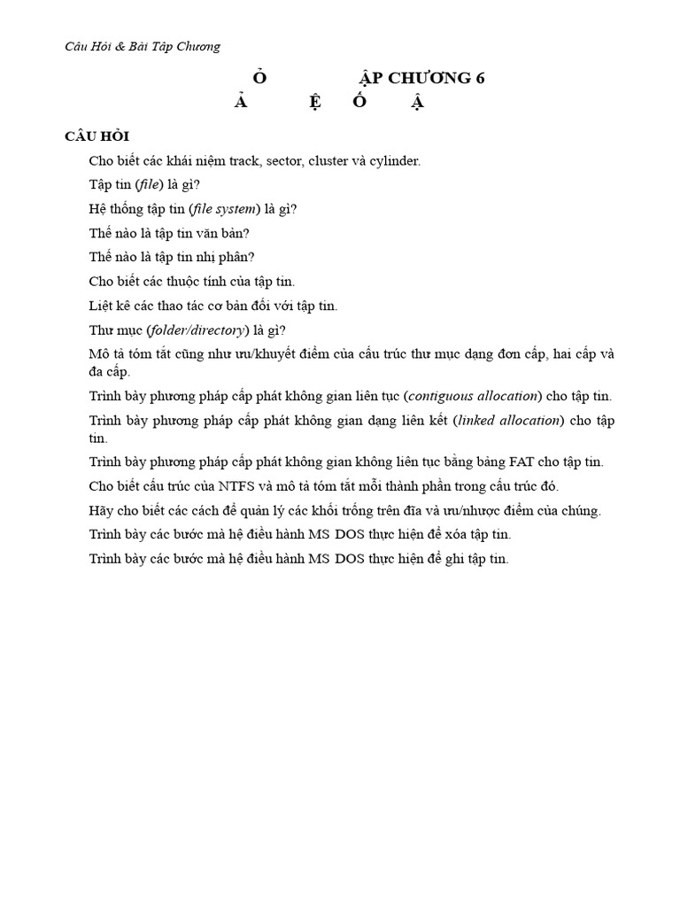 CauHoi BaiTap Chapter 6 | PDF