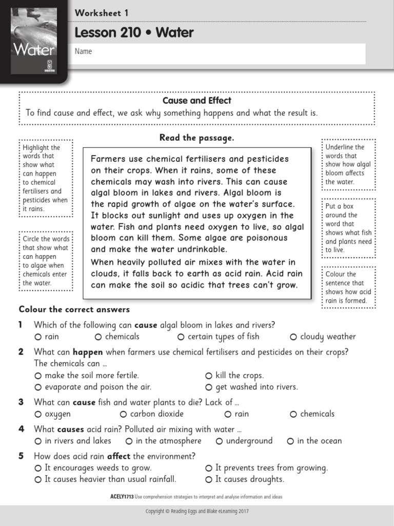 Year 6 Reading Practice 10 | PDF | Wetland | Water