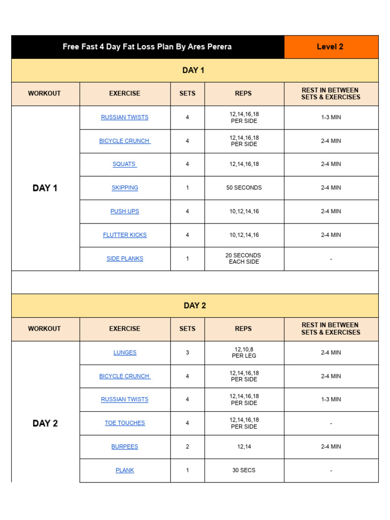 Ares Perera - LEVEL 2 - Male Free Fast Fat Loss Workout | PDF | Human ...