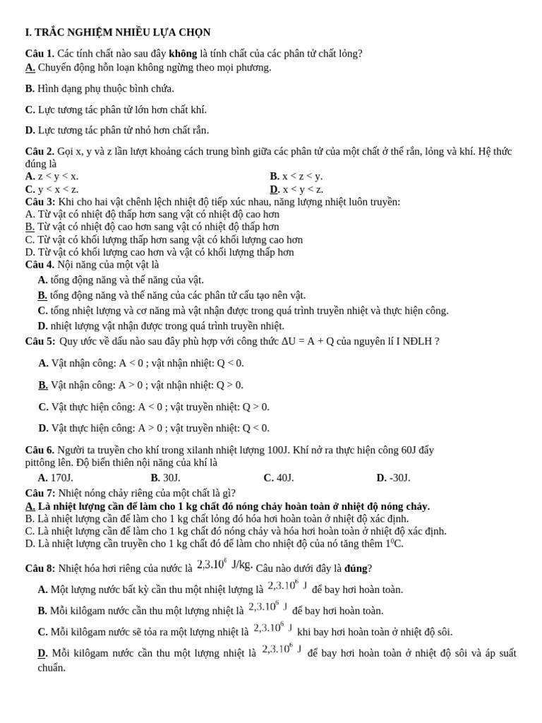 TN Nhieu Lua Chon | PDF